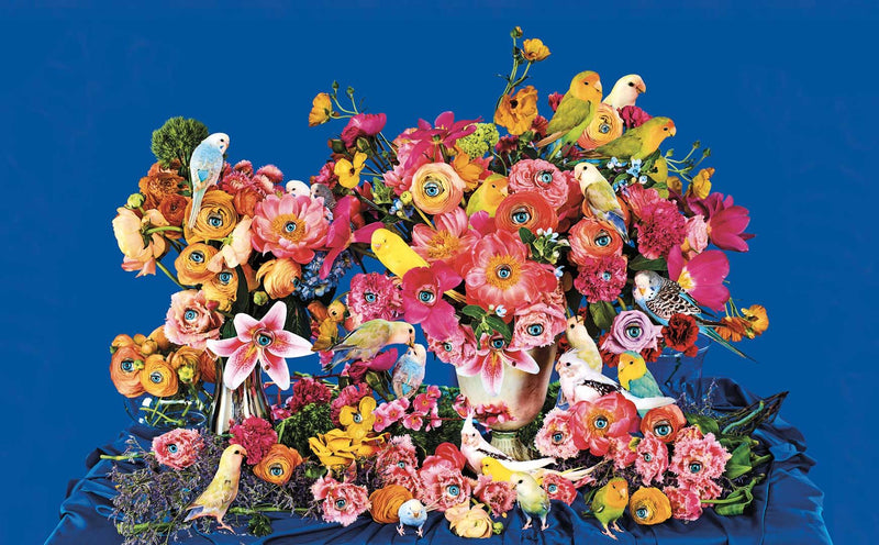 טפט - דגם בירד וואטצ'ינג | Rafael Éclat | רפאל אקלה - Rafael Eclat